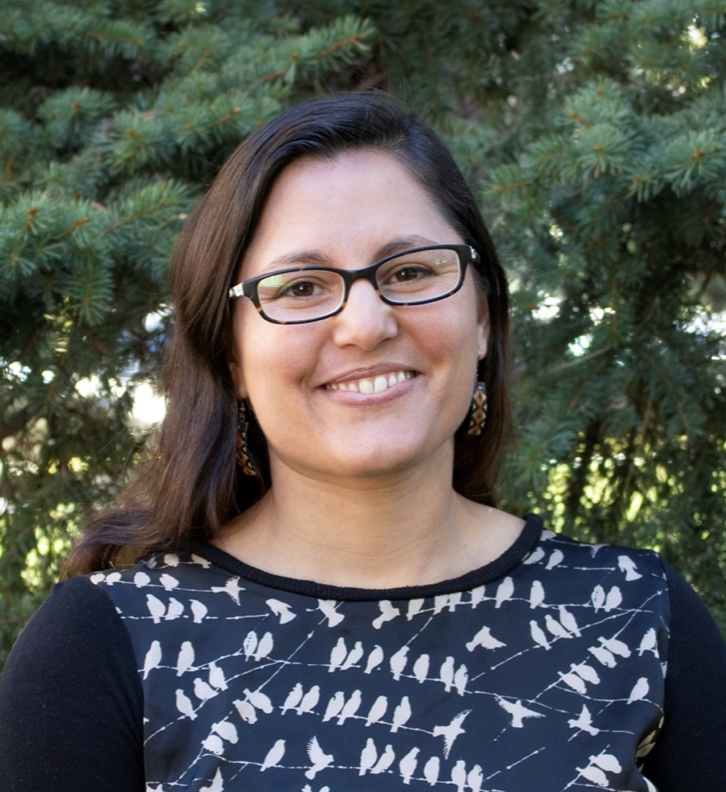 Supporting Indigenous data stewards: Indigenous governance and ethics ...
