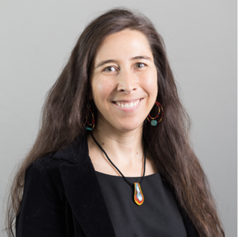 Supporting Indigenous data stewards: Indigenous governance and ethics ...